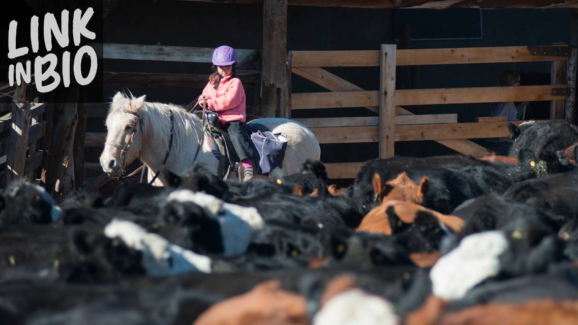 Rancho Life — mitúTV