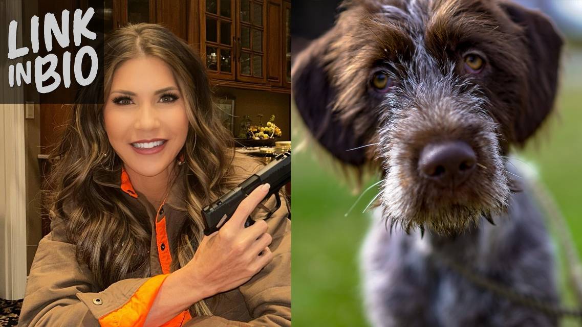 Why Kristi Noem Killed Her Puppy — mitúTV